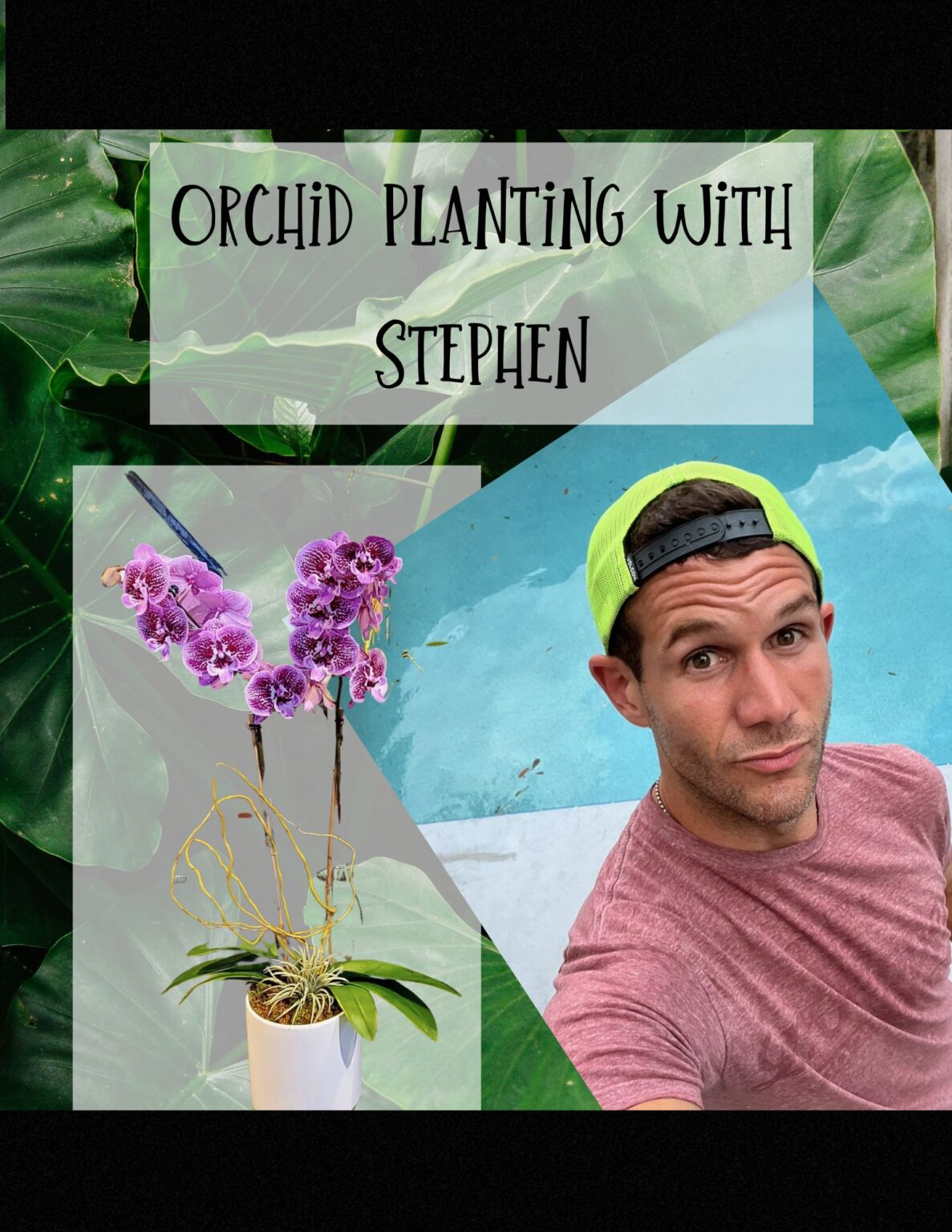 Orchids Unveiled: A Hands-On Class with Stephen Louis - Oil And Vinegar
